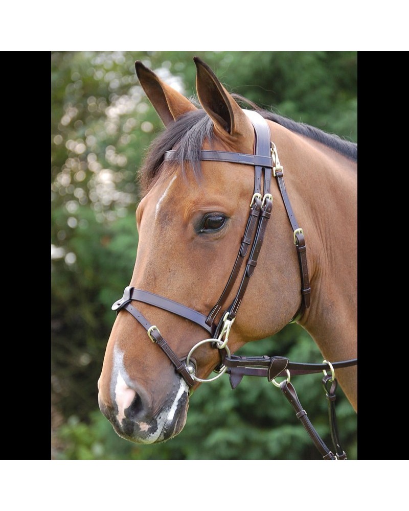 Bridon DYON à plats mousquetons