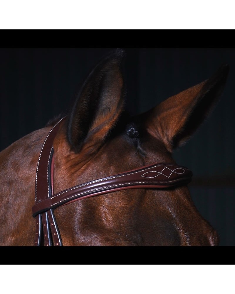 Bridon DYON muserolle combinée anatomique